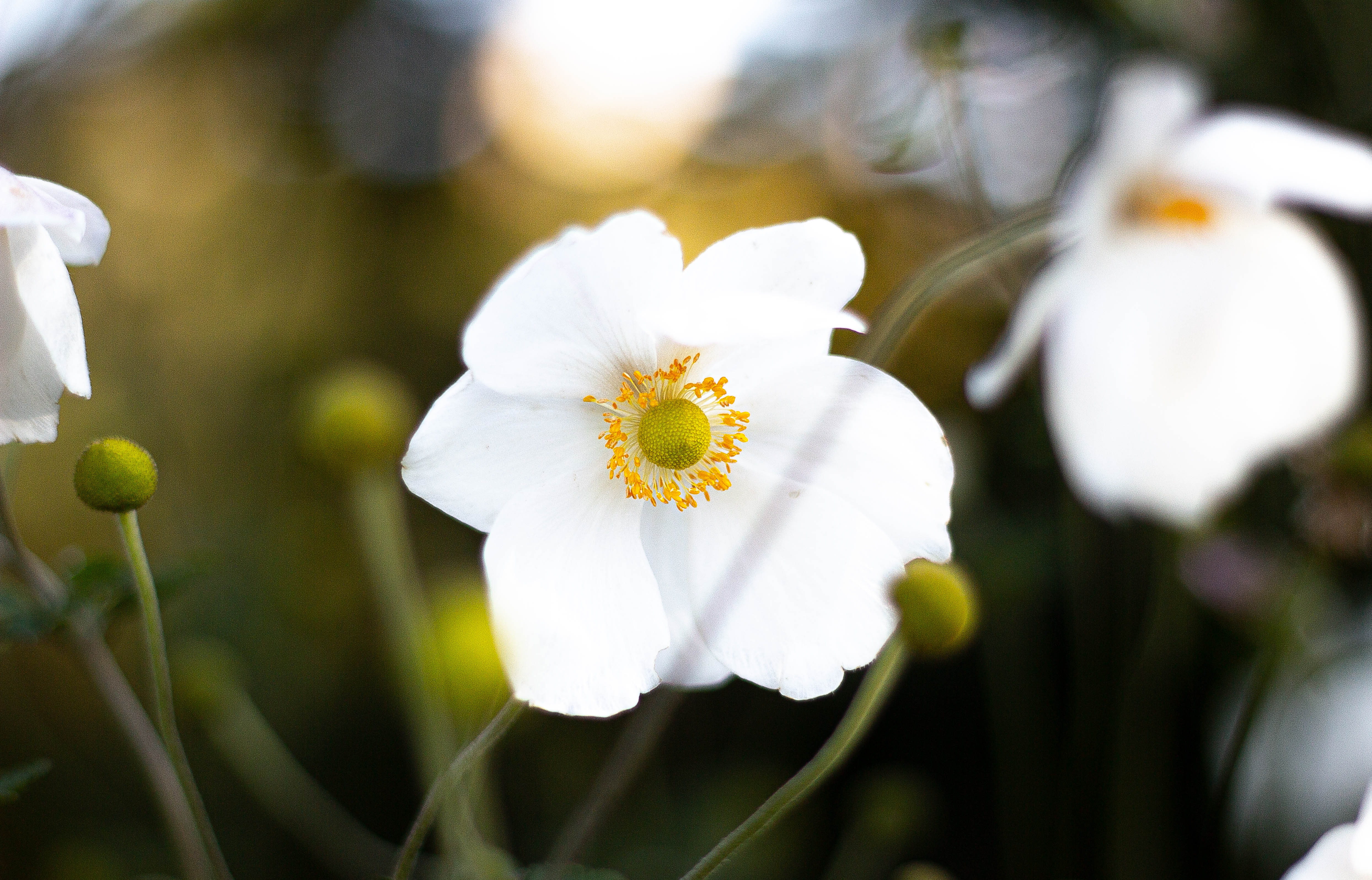 PHOTO – Andrew Lucas